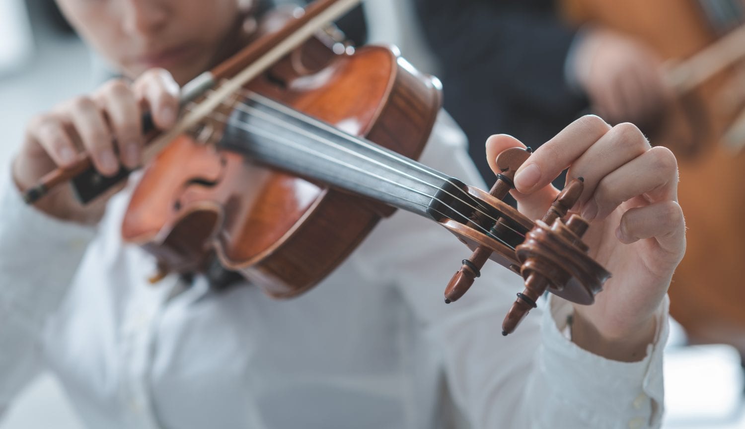 Laboratorio strumentale e orchestrale | Istituto Madonna della Neve