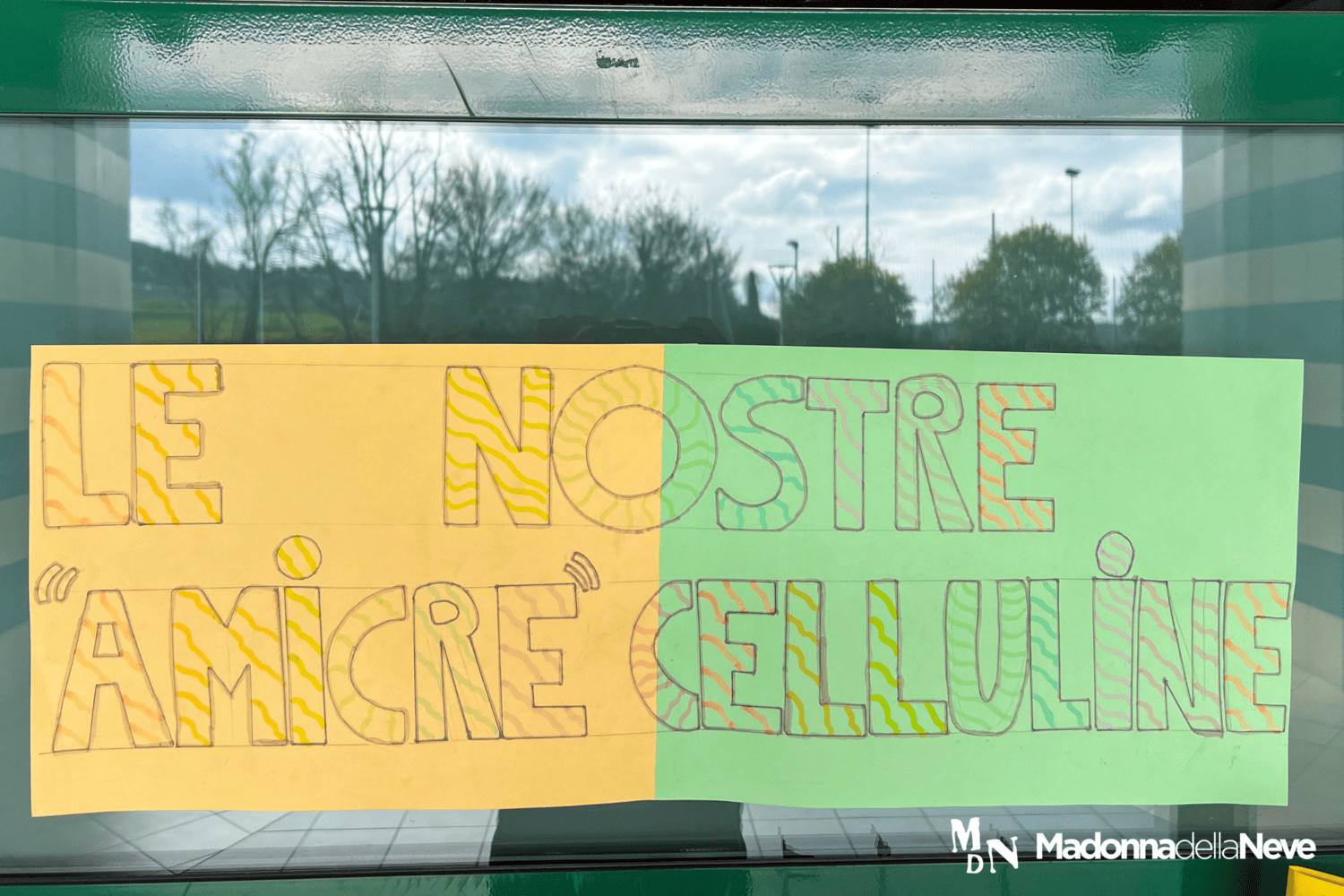 Le nostre “amicre” celluline | Istituto Madonna della Neve